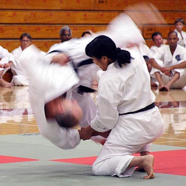 Shotokan Karate of America – The original nonprofit organization ...