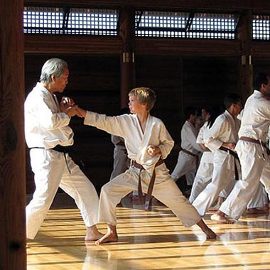 Shotokan Karate of America – The original nonprofit organization ...