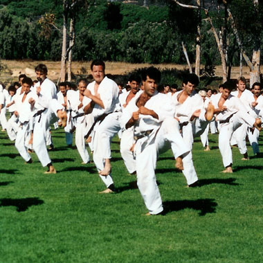 Shotokan Karate of America – The original nonprofit organization ...
